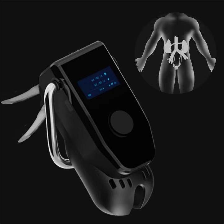 Cellmate 3 CAGINK Pro Cellular Remote Chastity Cage - QIUI CAGINK Pro – cellmatecage